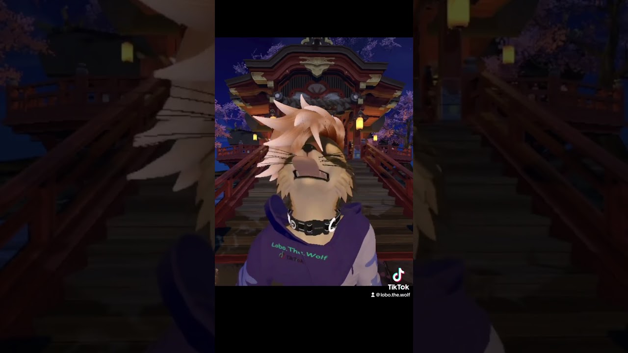 You get 5 wolf kisses. #vrc #anyidea #vtuber #vrchat #furries #meme #vrchatworld