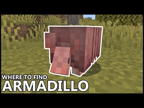 Where To Find ARMADILLO In MINECRAFT