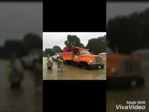 Cajun Navy