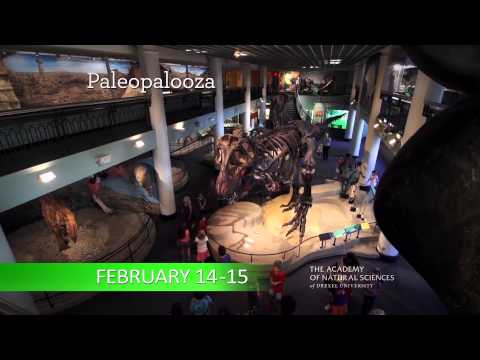 Paleopalooza at the Academy of Natural Sciences