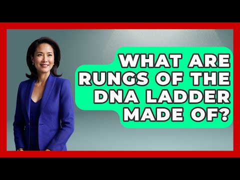 What Are Rungs Of The DNA Ladder Made Of? - Biology For Everyone