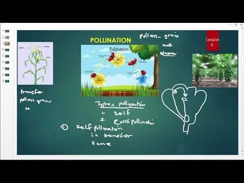 What is pollination (science note )