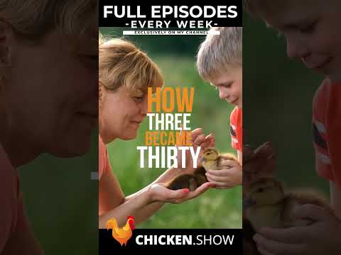 What Is CHICKEN MATH?