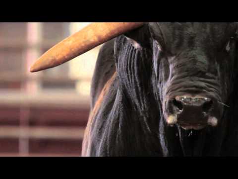 Rosetta Stone® Spanish - 2013 Webisode - The Matador & Bull