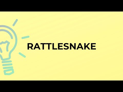 What is the meaning of the word RATTLESNAKE?