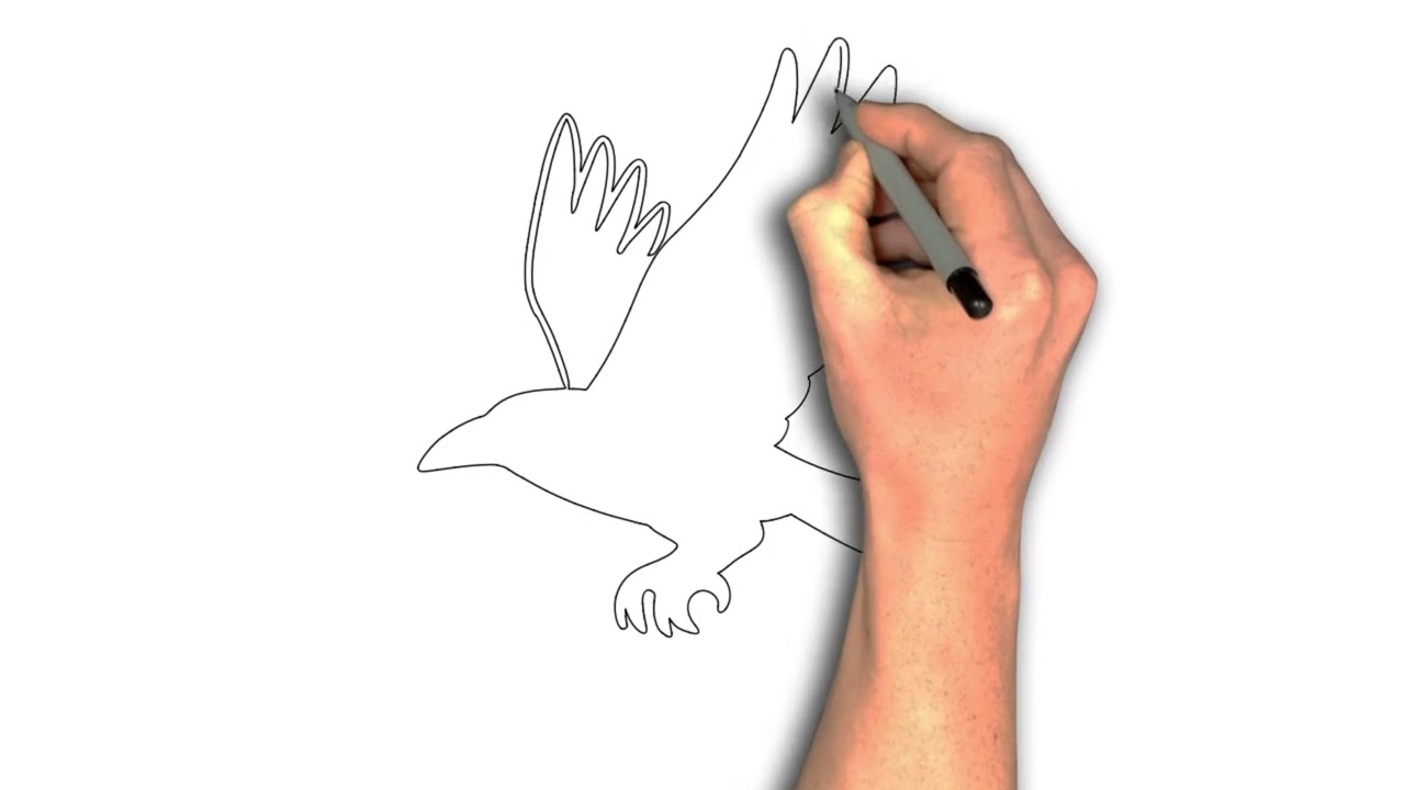 crow flying drawing image, Flying Crow – Silhouette Motion