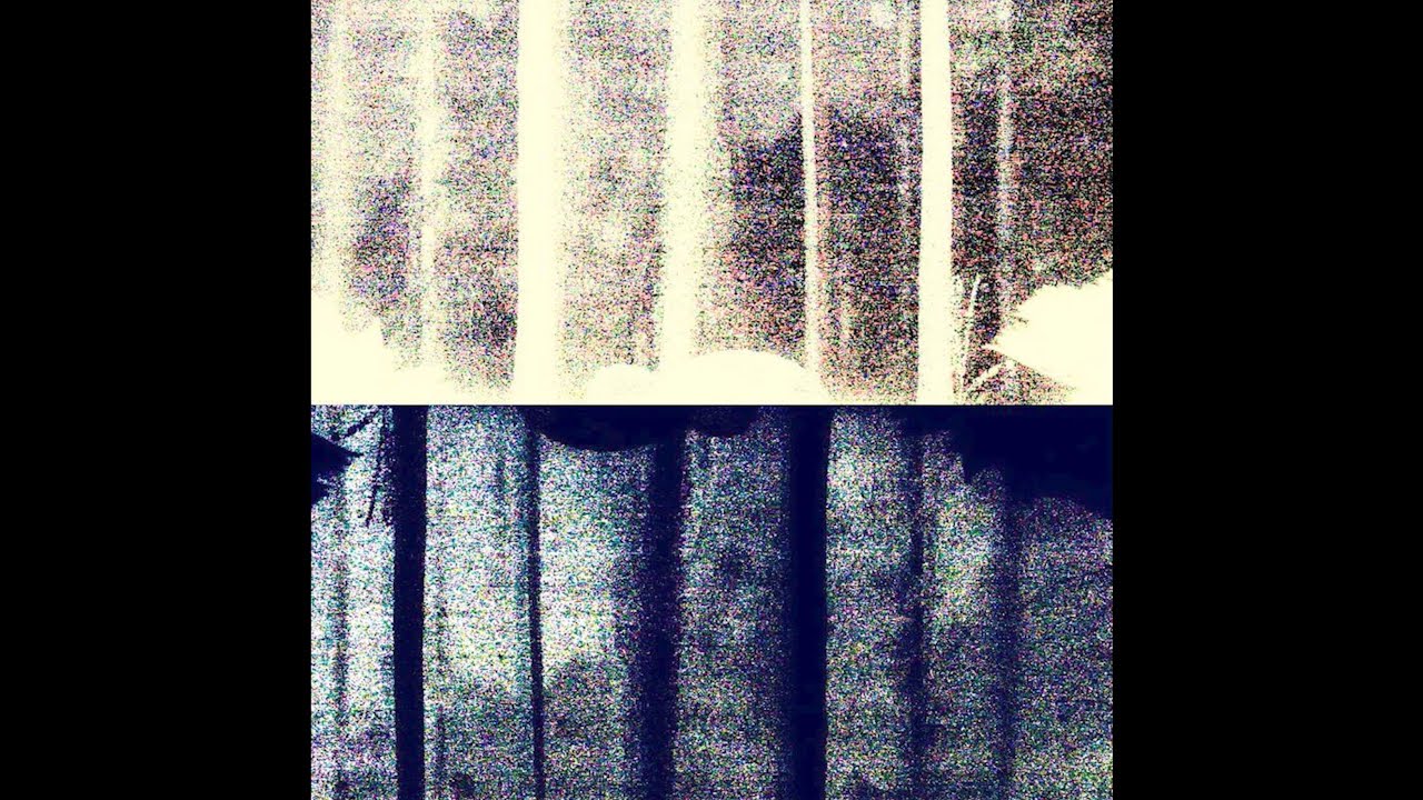 Reground The Garden by German Error Message from USA | Popnable