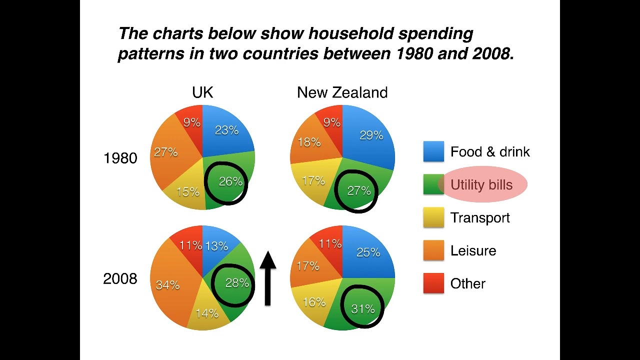 Ielts Writing task 1: Academic Pie chart
