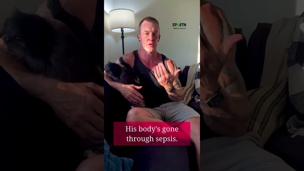 Latest update on Cowboy… and some CRUCIAL information to help other Spider Monkey owners… we are tha