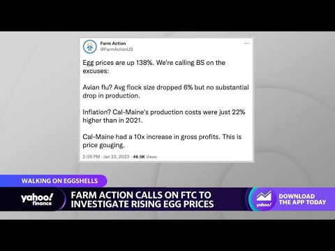Inflation: Egg prices show ‘tacit type of collusion,’ Farm Action president says