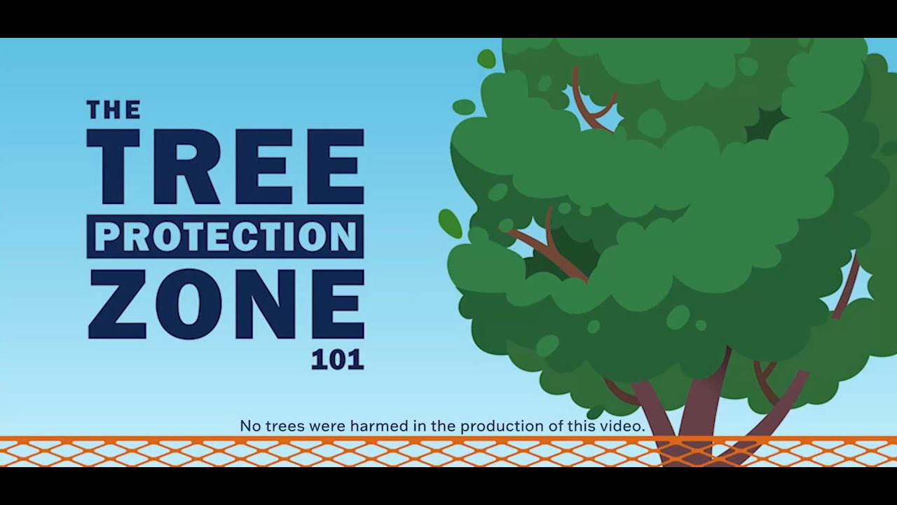 Tree Protection and Preservation During Construction