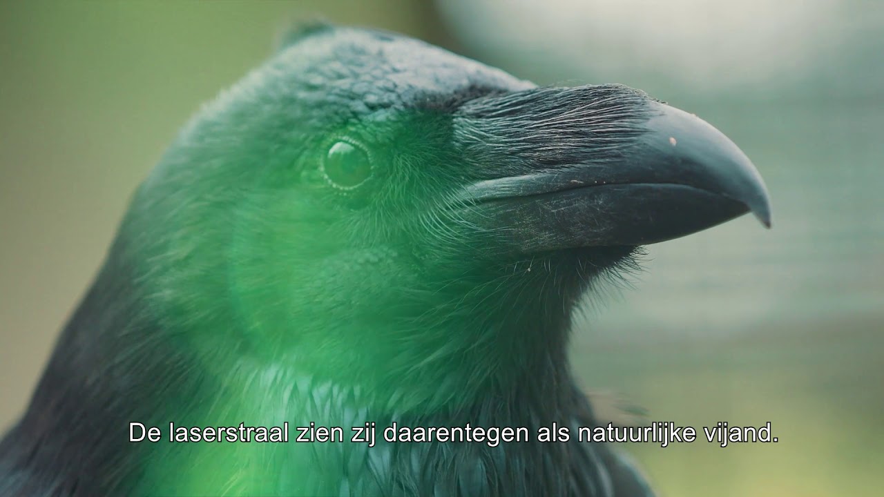 Ketrop Laser automaat