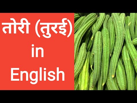 तोरी (तुरई) in English / Tori Ko English Me Kya Kehete Hai / Turai Ko English Me Kya Kehete Hai