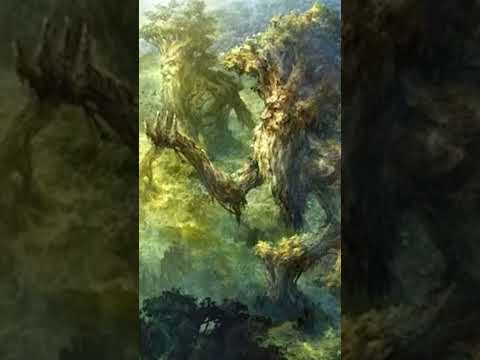 Treebeard | The Lord Of The Rings
