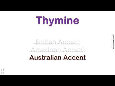 Thymine How to Pronounce Thymine in Australian Accent, British Accent, American Accent ?