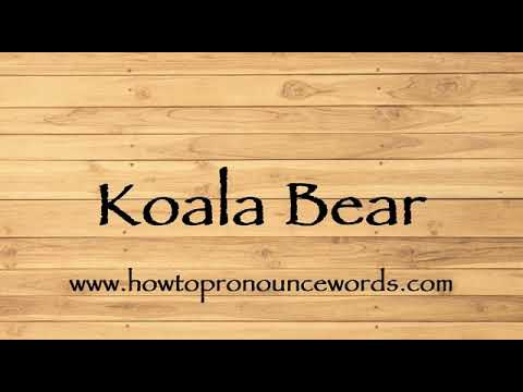 How To Pronounce Koala Bear ? How To say Koala Bear New Video