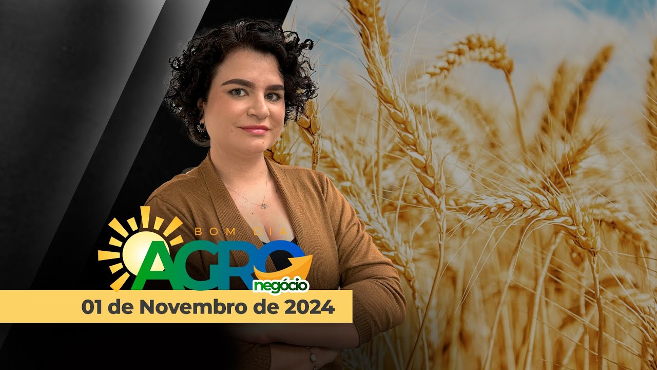 Bom dia Agro 01/11/24 - Trigo no Paraná, com Carlos Hugo Godinho ...