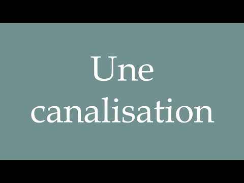 How to Pronounce ''Une canalisation'' (A pipe) Correctly in French