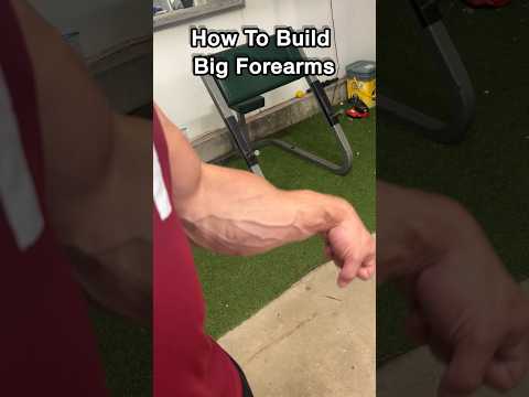 How to Build Bigger Forearms Like Sam Sulek | Forearm Workout for Massive Gains 💪