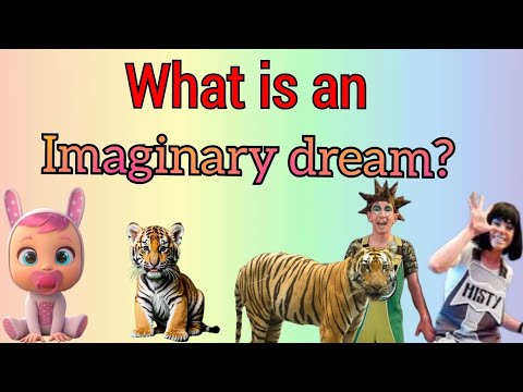 what is an imaginary dream?