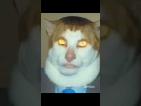 Monday left me broken cat #meme