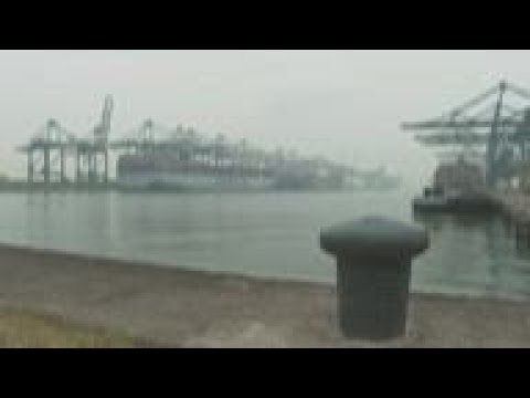 Drug seizures at Belgian port continue to rise