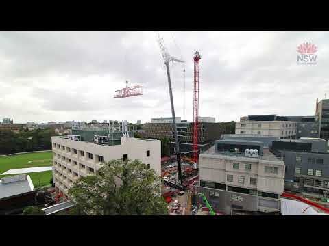 Royal Prince Alfred Hospital tower crane timelapse