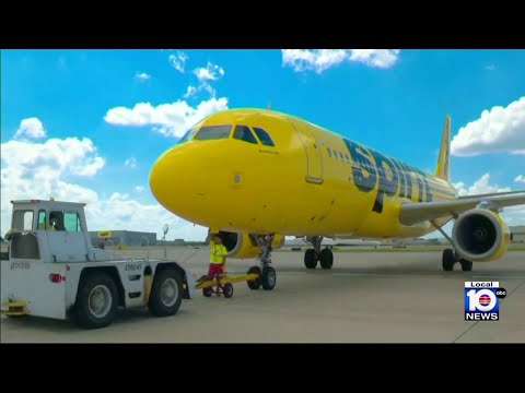 Spirit Airlines, based in South Florida, files for bankruptcy