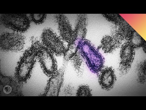 What Made the 1918 Flu Pandemic So Deadly?