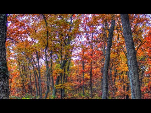 Discover Southcentral Pennsylvania