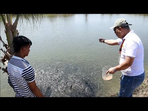 Success Story on DA-BFAR's Fisheries Scholarship Program (Luzon Cluster)