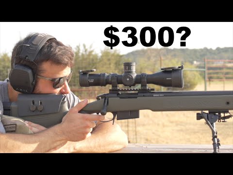 Best Long Range Precision Scope For Under $300?