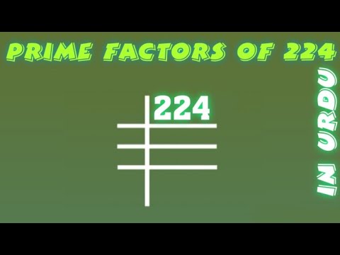 Prime Factors of 224 - Prime Factorization