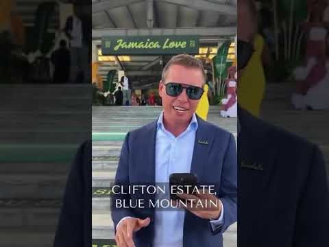 Adam Stewart Top5- Sandals Resort #jamaica #shorts #fyp