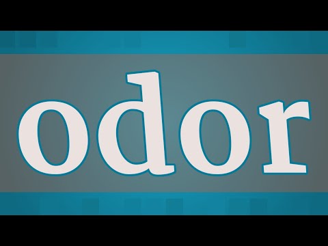 ODOR pronunciation • How to pronounce ODOR