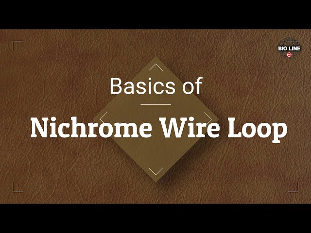 Lab Instruments - Nichrome Wire Loop with Holder Trader - Wholesaler ...