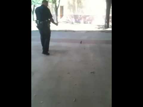 Cop Versus Squirrel: Students Object To Police Officer Pepper Spraying ...