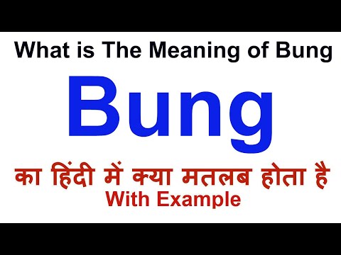Bung Meaning in Hindi | Bung Definition | Bung Ka Matlab Kya Hota Hai | Bung in Hindi