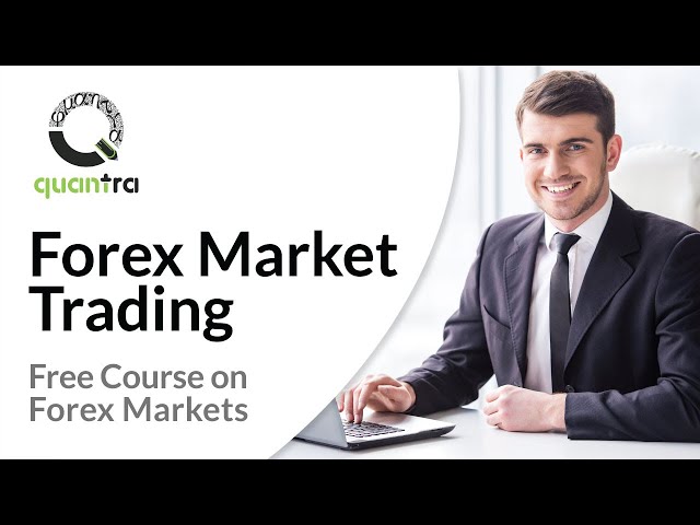 Forex Trading Course: Basics, Momentum Strategy and Risk Management