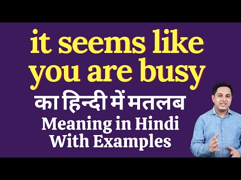 it seems like you are busy meaning in Hindi | it seems like you are busy ka kya matlab hota hai | on