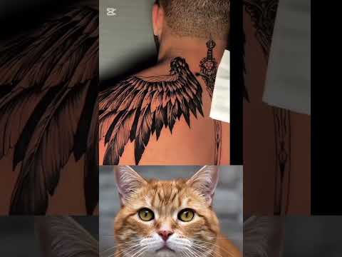 give this video title (warning name)#cat #meme #dance #trending