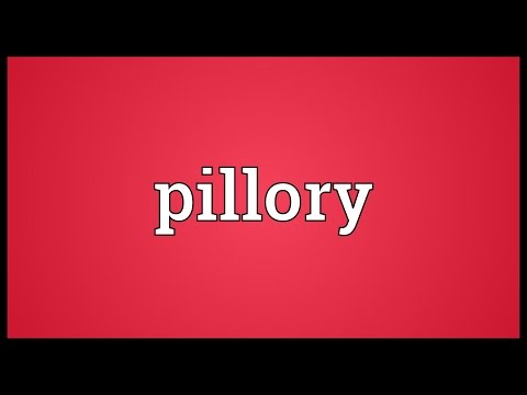Pillory Meaning