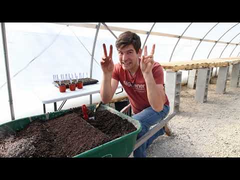 Answering 5 Most Common Seed Starting Questions