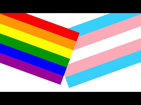LGBTQ+ Flag Guide