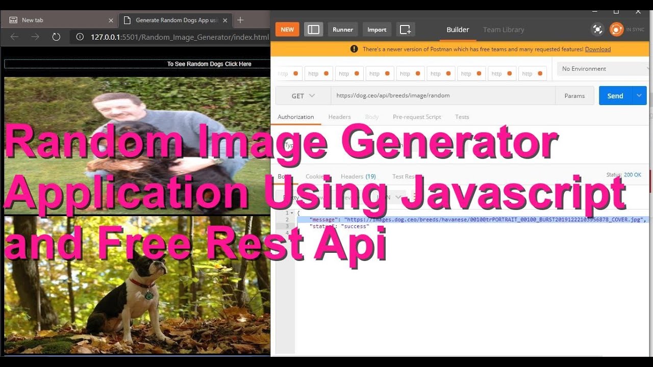 Random Image Generator Application Using Javascript and Rest api to generate random Dog's Images
