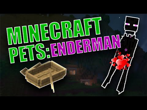 Steam Community :: Video :: Minecraft with Dad: Adopting a Pet Enderman in SMP