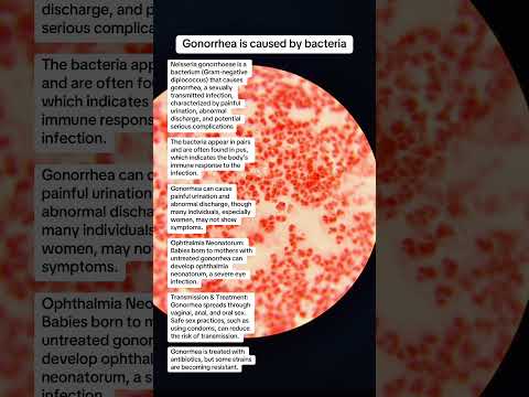Neisseria gonorrhoeae is bacteria for gonorrhea, sexually transmitted infection #microbiology
