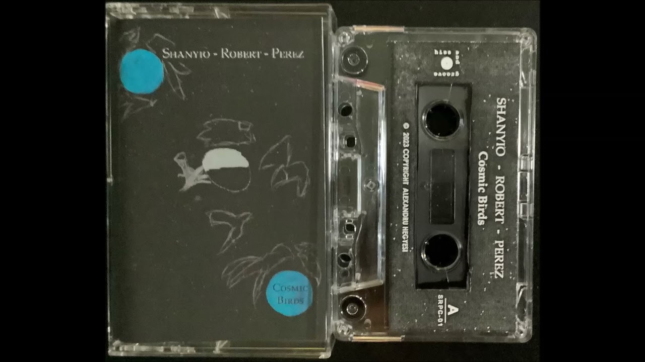 Shanyio*Robert*Perez - Cosmic Birds (extract 2023)