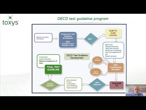 Webinar: Accelerating the international validation of NAMs