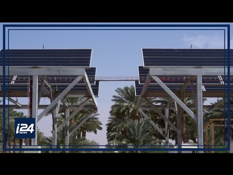 Innovative oasis produces food and electricity in Israel's desert